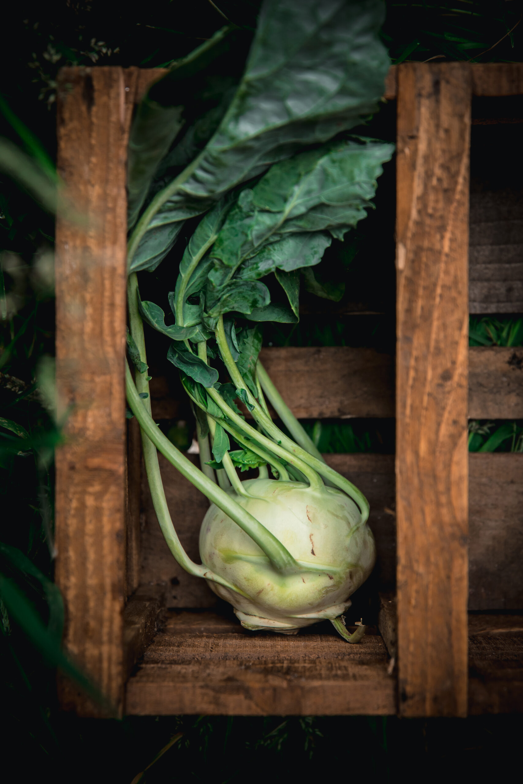 A Guide to No-Dig Gardening | Nomadic