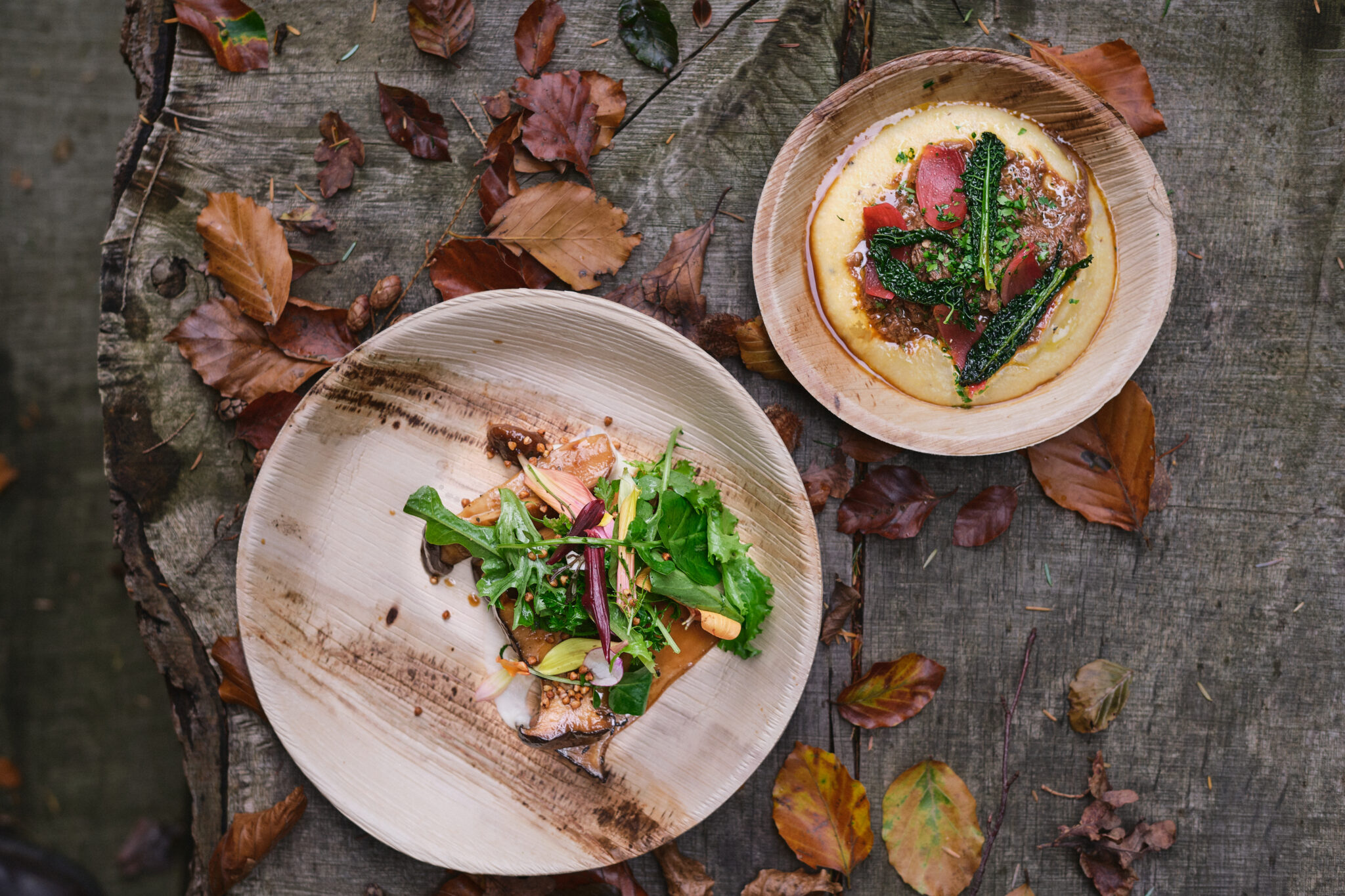 Experience Nomadic | Woodland Feasts Close to London